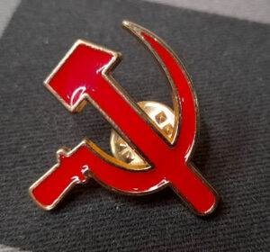 Political Pins - Luna Oi!