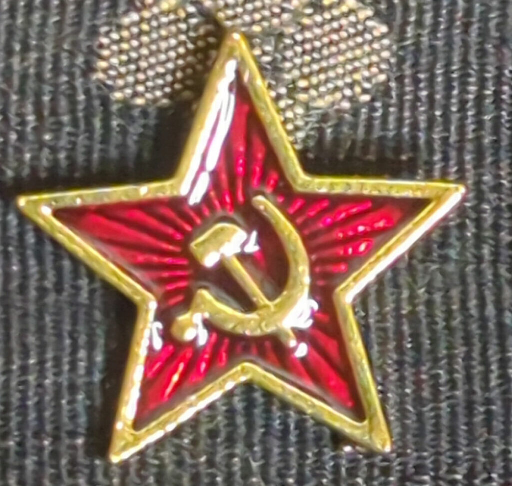 Soviet Pins - Luna Oi!